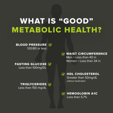 Are You in Good Metabolic Health? (Only 12% Are) - Metabolic Meals - Blog