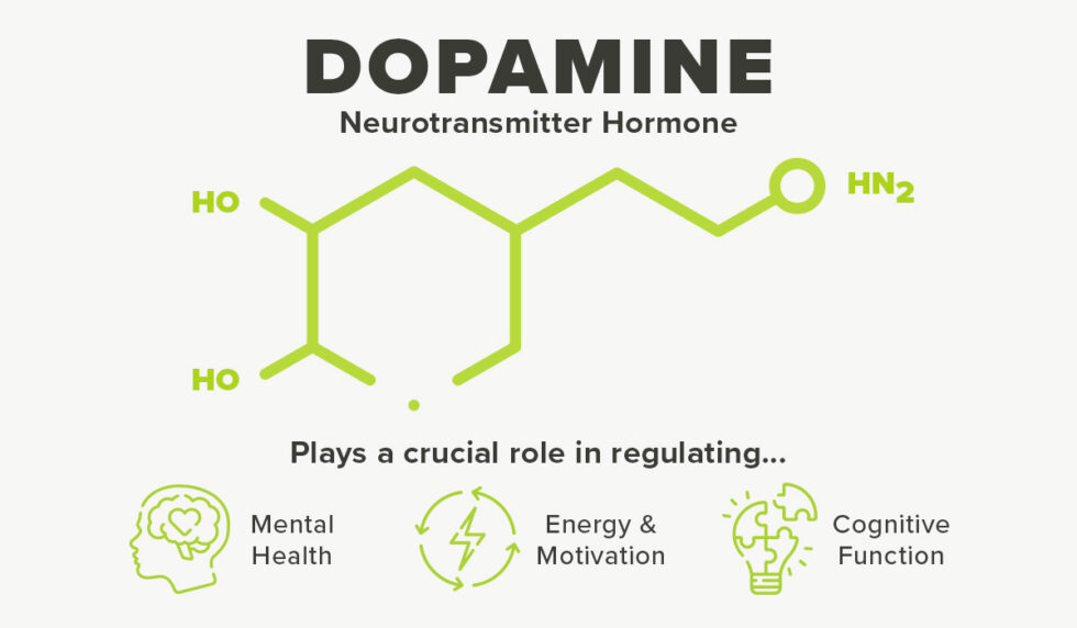 The Cheap Dopamine Epidemic: How It’s Impacting Your Health and What ...